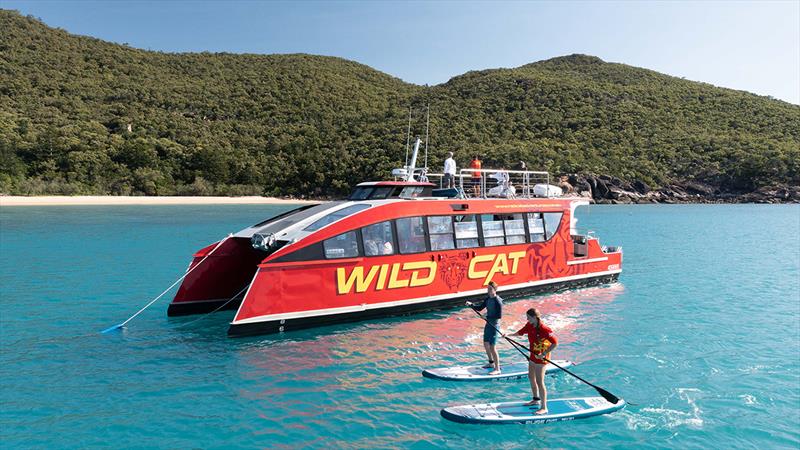 Wildcat Mackay named Queensland's best new tourism business